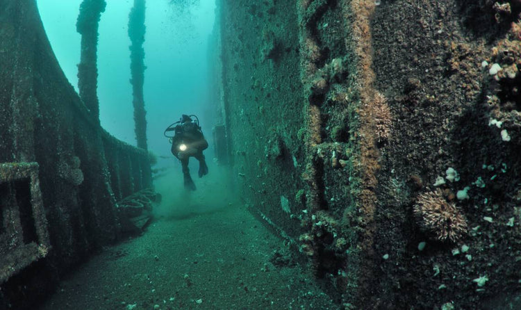 Central Coast Divers Leading Scuba Diving Centre